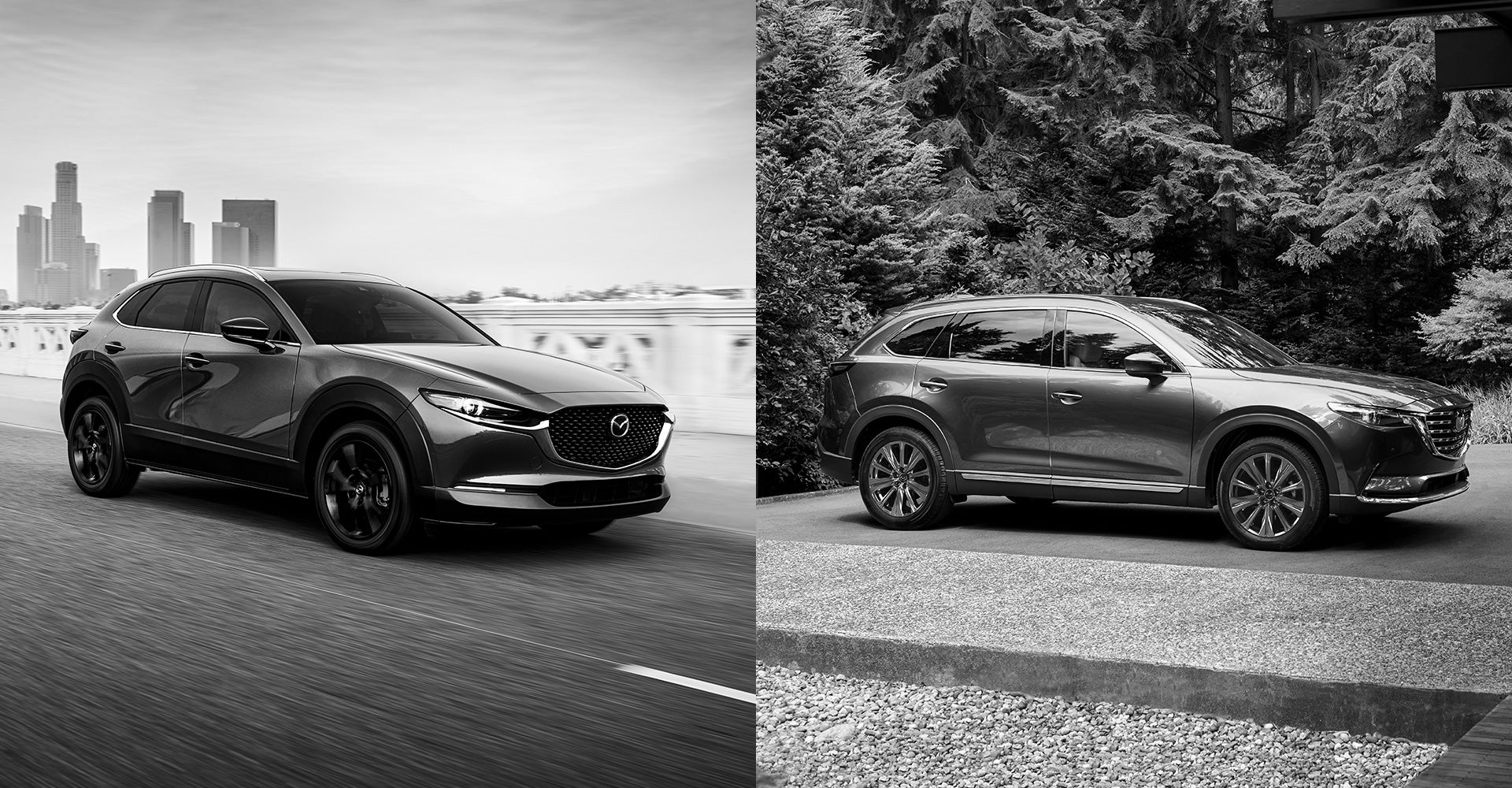 Explore Mazda SUV Models | Easton, MD | Preston Mazda